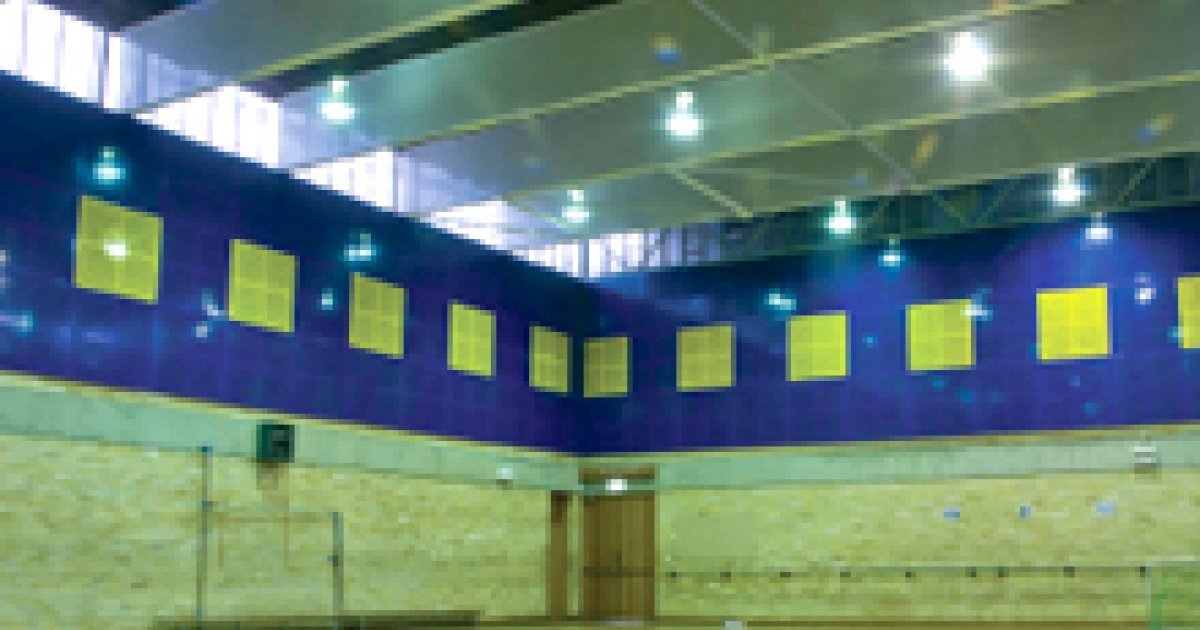 College Gymnasium Noise Solved - Pyrotek College Gymnasium Noise Solved - Pyrotek